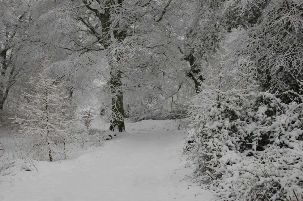 Top Winter Activities in Ireland: Festive Events, Scenic Hikes, and ...